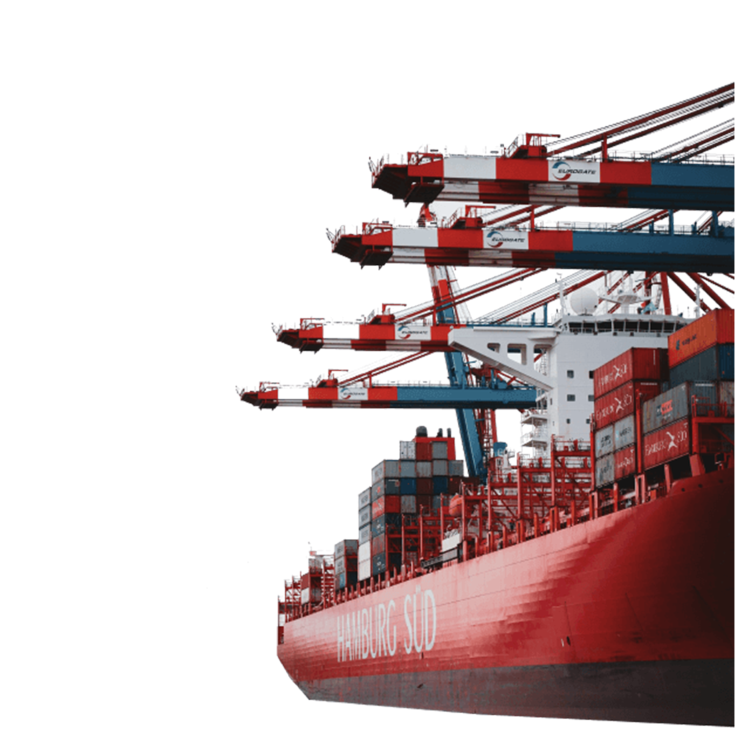 Homepage - Moon Light shiping Supply Comapny EG